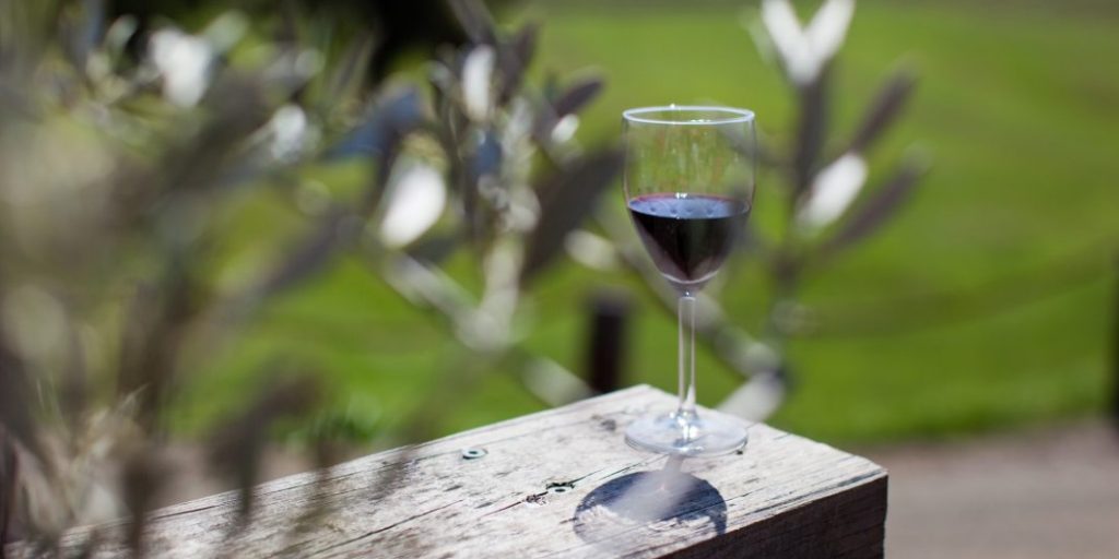 Yarra Valley Wine and Winery Day Tours From Melbourne